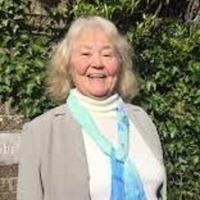 Our Team - South Dorset Liberal Democrats